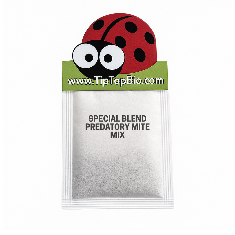 Spider Mite Control Solutions – FGMN Nursery